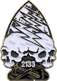 Department of Defense (DoD) Challenge Coins - Signature Coins