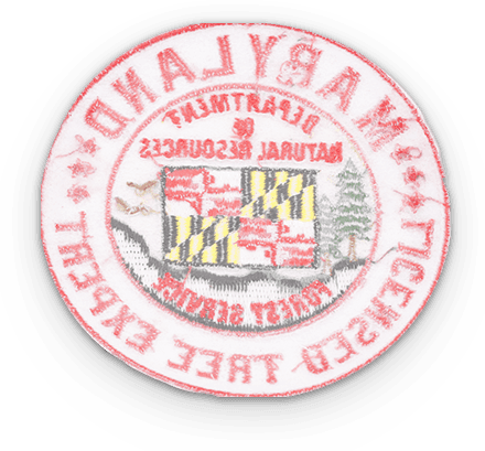 School Patches - Signature Patches